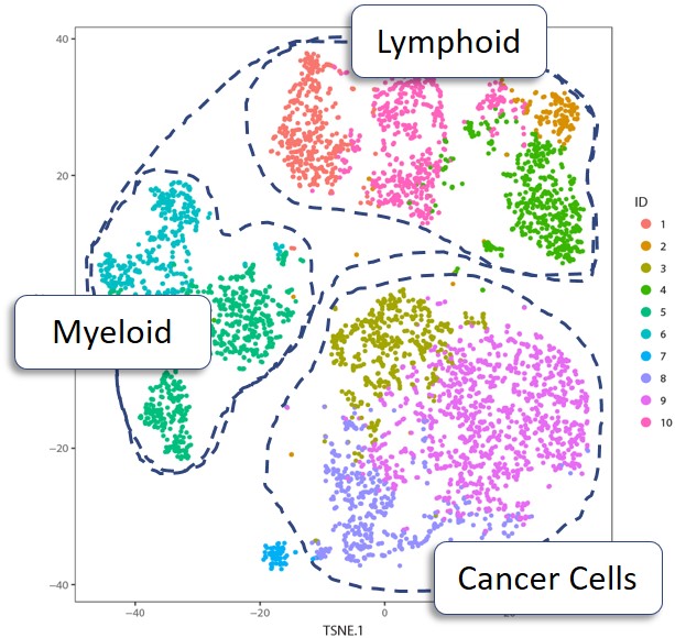 Tumor Tissue Lab - Tumor Tissue and Pathology Shared Resource | Wake ...
