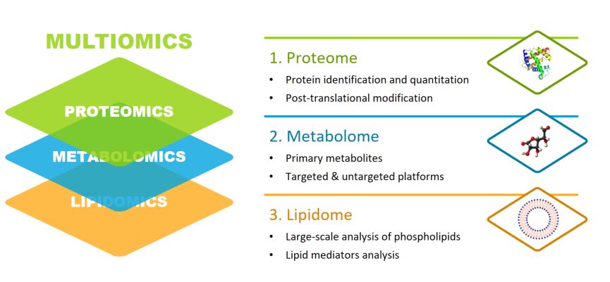 Proteomics and Metabolomics - Comprehensive Cancer Center Shared ...