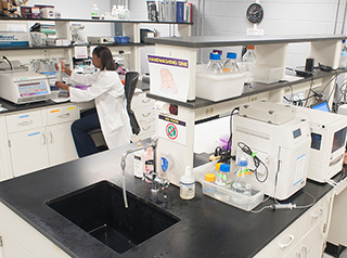 Pain Mechanisms Lab - Wake Forest School of Medicine | Wake Forest ...