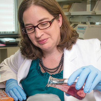 Section of Nephrology – Wake Forest School of Medicine | Wake Forest ...