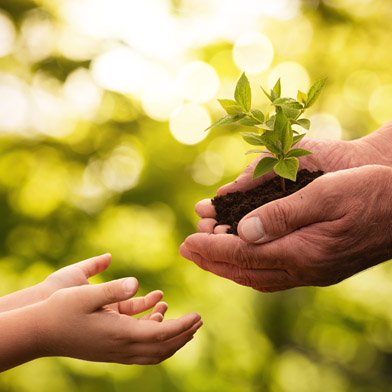 Whole Body Donation Program – Center for Experiential and Applied ...