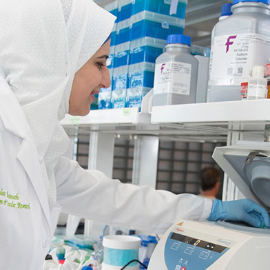 Integrative Physiology and Pharmacology (PhD) - Biomedical Sciences ...